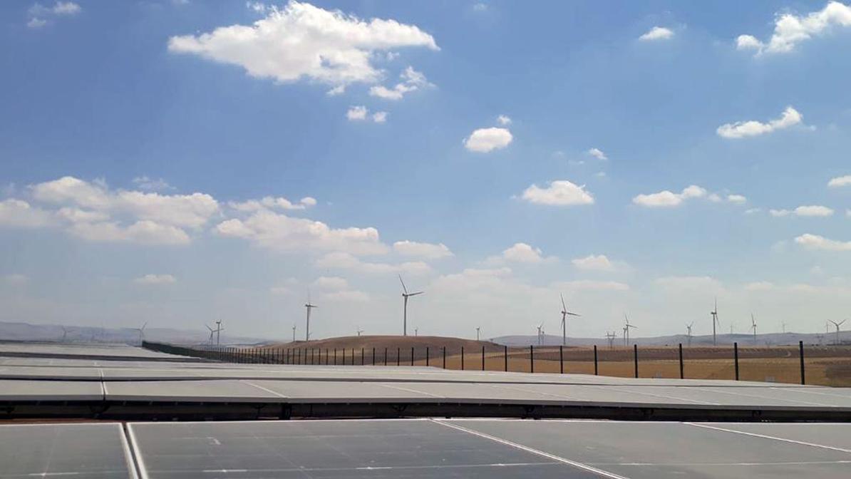 Climate protection projects - DHL Group